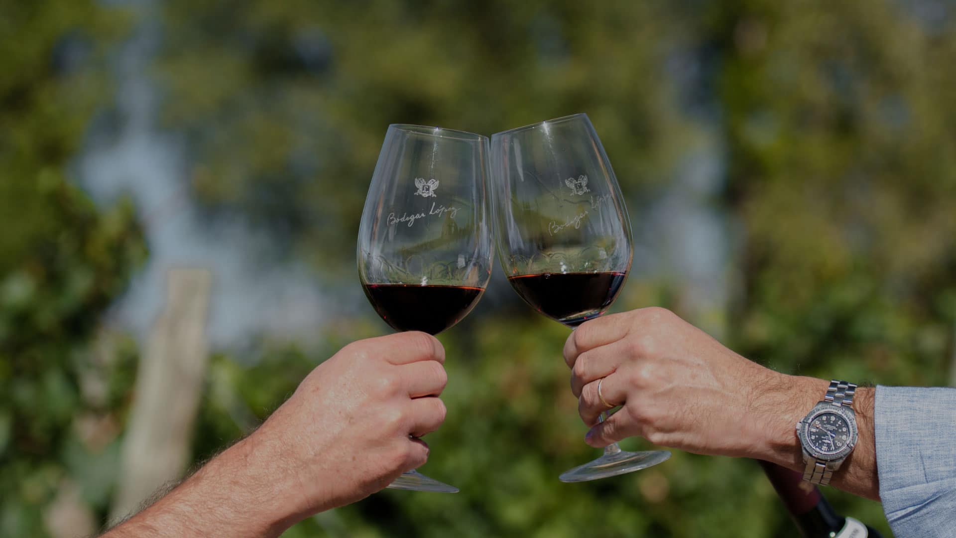 1 brindis | Bodegas López